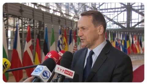 „Kij i marchewka” dla Niemiec od minista Sikorskiego. Przypomniał, że ...